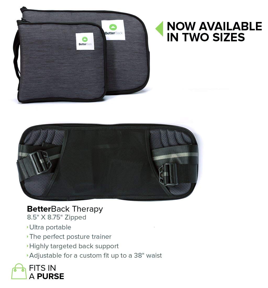 BetterBack Therapy - Sit in Perfect Posture + Lower Back Pain Relief (Heat and Ice Healing) - Portable Ergonomic Office Chair