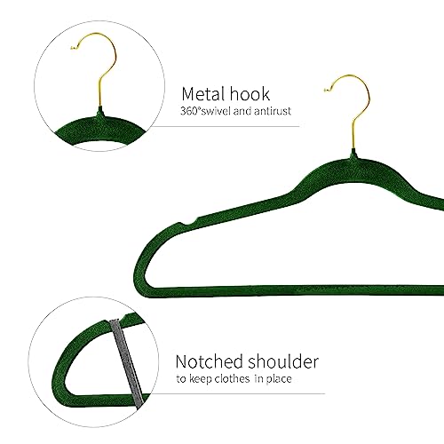 ManGotree Velvet Suit Hangers with 360 Swivel Gold Hook, Non-Slip Coat Hangers, Ultra-Slim Space Saving Hangers, Sturdy & Durable Clothes Hangers, 36 Pack (Green)