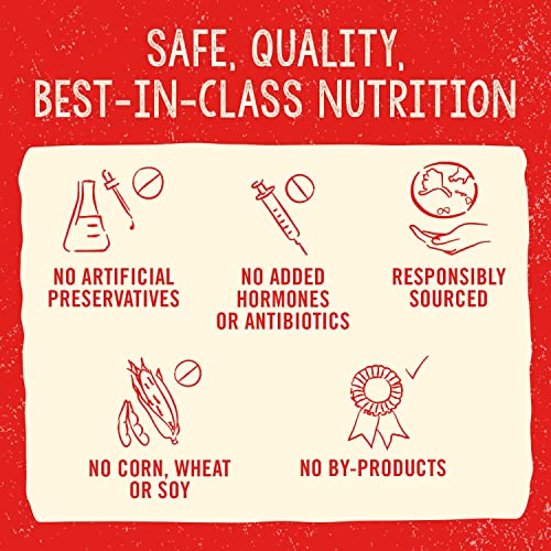Stella & Chewy’s Freeze Dried Raw Savory Salmon & Cod Meal Mixer – Dog Food Topper for Small & Large Breeds – Grain Free, Protein Rich Recipe – 8 oz Bag