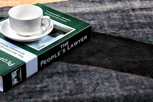 Flame Retardant Fireplace Rugs for Living Room Rugs Machine Washable 4x6 Gray Modern Fluffy Rubber Bedroom Dining Heat Resistant Area Rugs Decor