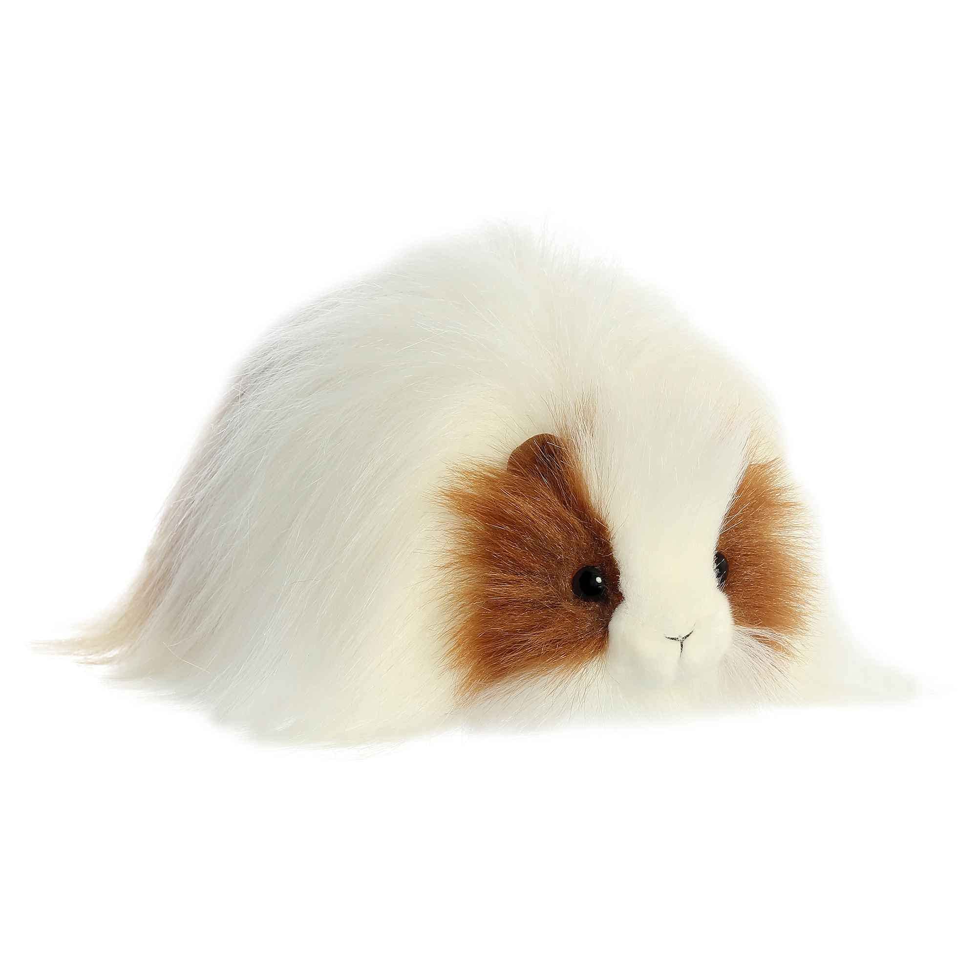 PBS Aurora, Quincy Guinea Pig 10" Plush