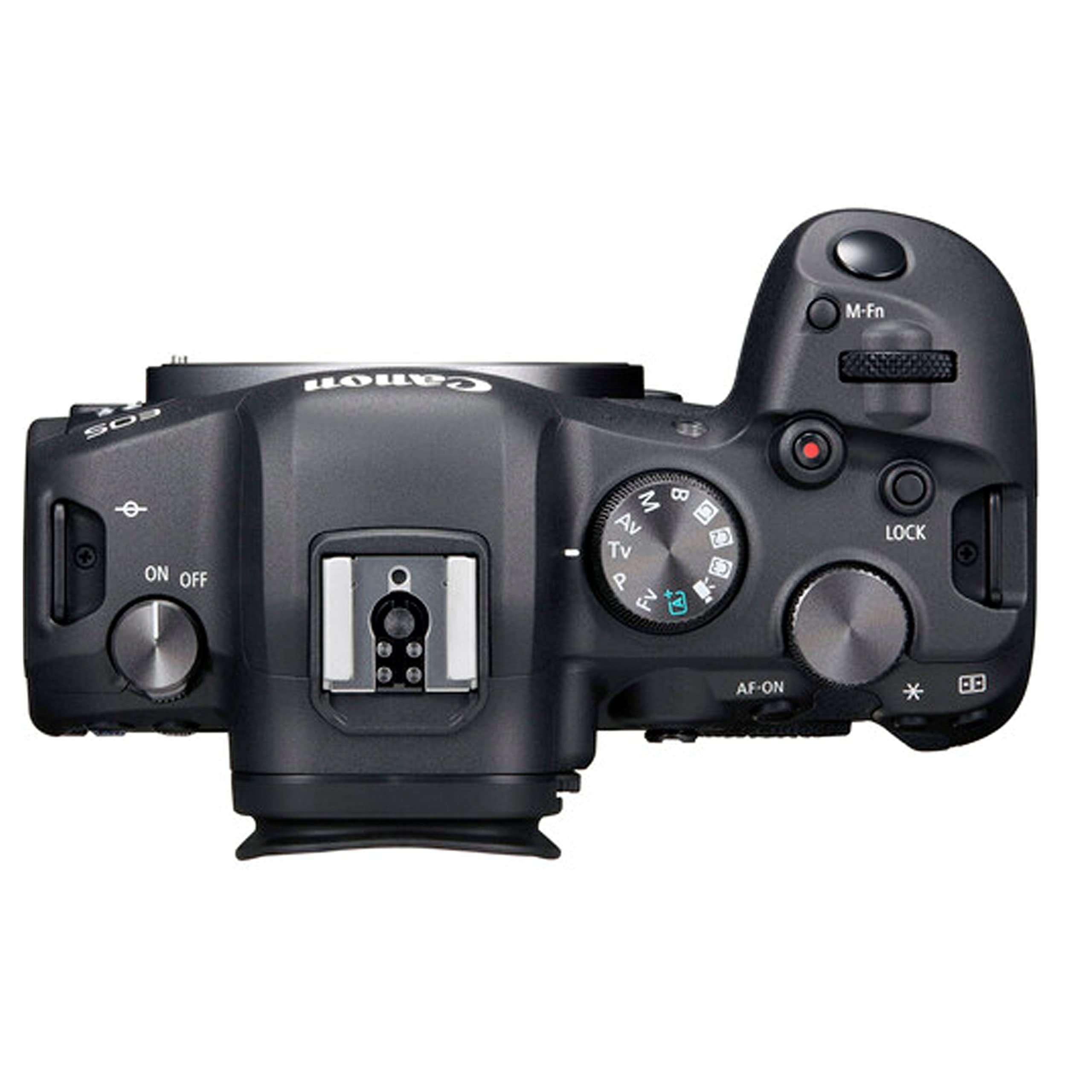 Canon EOS R6 Mirrorless Camera (Body Only) Enhanced with Professional Accessory Bundle - Includes 14 Items