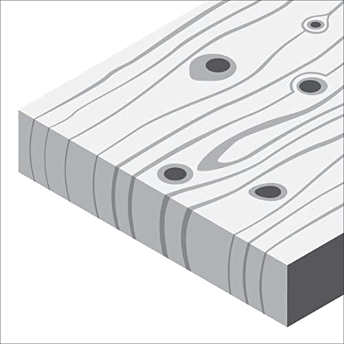 Bosch Professional set of 50 sanding sheets M480 Best for Wood and Paint (Wood and paint, Ø 150 mm, grit G100, Accessories for random orbit sander)