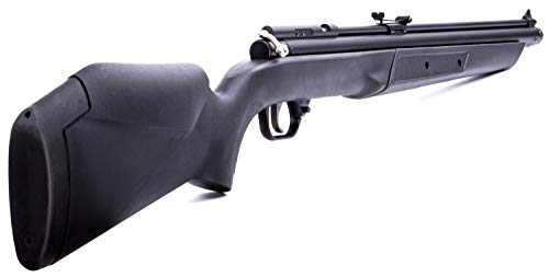 Benjamin 392S .22-Caliber Bolt Action Variable Pump Air Rifle, Black