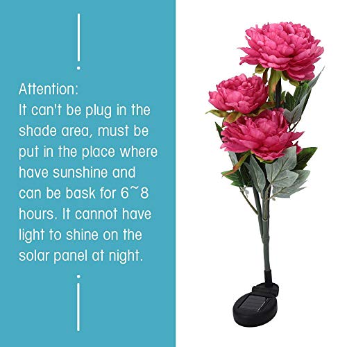PBOHUZ Solar Flower Light - Solar Power LED 3 Heads Simulation Peony Rose Flower Light for Home Garden Lawn Decor