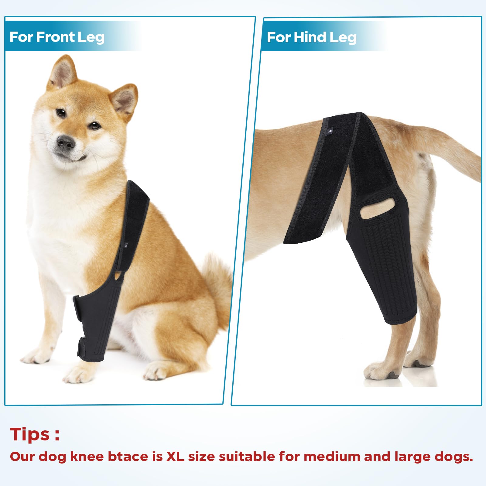 Ceuku Dog Knee Brace for ACL Hind Leg, Dog Leg Braces for Back Leg with Metal Spring Support, ACL Brace for Dogs Rear Leg Tear CCL with Dog Pull Collar, Support for Medium and Large Dogs(Size XL)