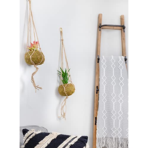 Esterno Kokedama Hanging Planters (Set of 3, 5.5in Diameter); Japanese Moss Ball Plant Holder for Ferns, Succulents, Orchids Etc
