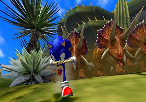 Sonic and the Secret Rings - Nintendo Wii (Renewed)