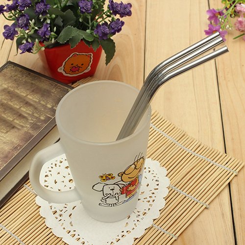 Connoworld Reusable Stainless Steel Drinking Straw With Cleaner Brush Kitchen Kit, Includes 1 Drinking Straw + 1 Cleaning Brush