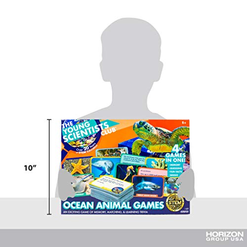The Young Scientist Ocean Animal Card Games, 4 Card Games in 1, Matching, Bingo, Memory, Trivia, Hands-On Educational STEM Fun for Age 5 and Up, Kids Card Games