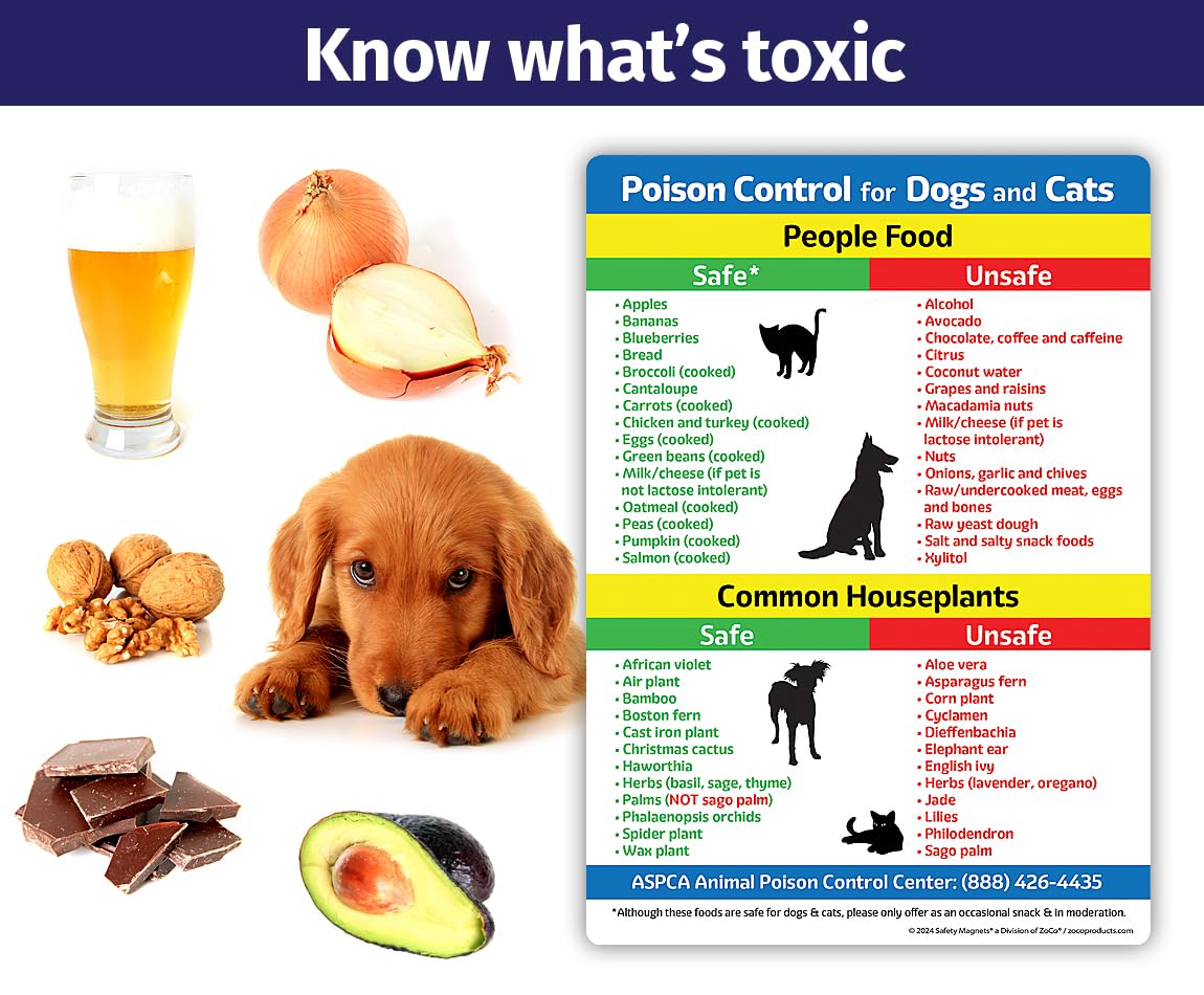 Foods and Plants Toxic to Cats and Dogs Fridge Magnets (5 Pack) - Pet Poison Control - by Safety Magnets - 5 x 7 inches