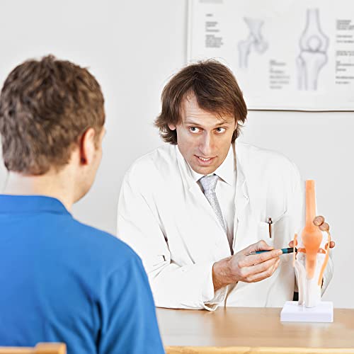 SKUMOD Anatomical Medical Knee Joint with Ligaments Model, Life-Size, for Medical Teaching Students Study Science Education