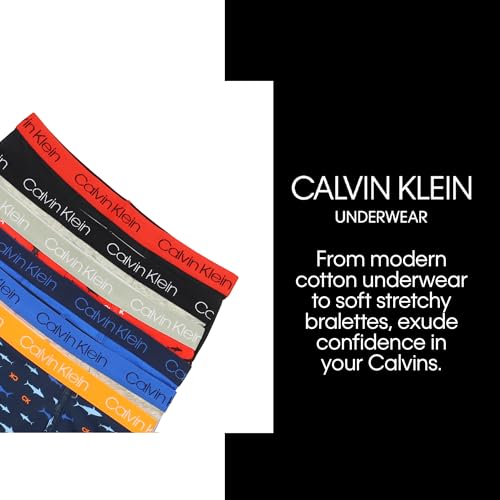 Calvin Klein Boys' Little Modern Cotton Assorted Briefs Underwear, 3 Pack, Blue/Marl/Samb, Large