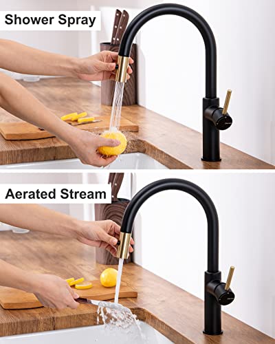 Darnok 79723BX Mia Black and Gold Kitchen Faucet with Pull Down Sprayer, 15.6-inch High-arc Magnetic Docking Kitchen Sink Faucet, Matte Black/Luxe Gold