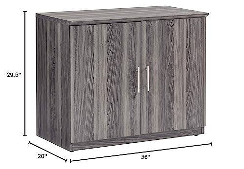 Mayline MSCLGS Medina 2-Door Storage Cabinet, 36"W, Gray Steel Laminate