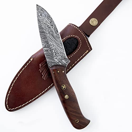 BIGCAT ROAR Handmade Damascus Hunting Knife - Bushcraft Fixed Blade Hunting Knife with Sheath and Walnut Wood Handle - 9″ EDC Skinning Knife - Little Champ
