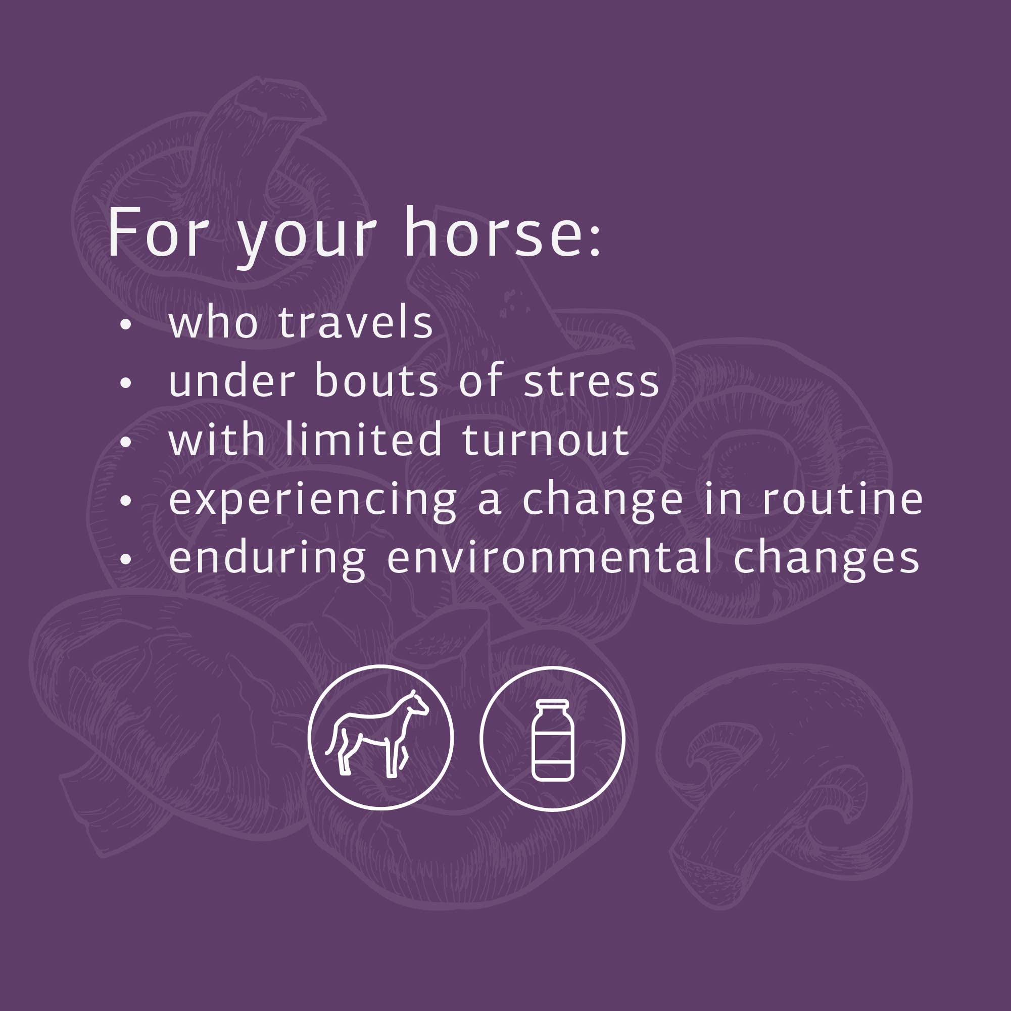 Standard Process Equine Immune Support - Whole Food Horse Supplies for Immune Support with Whey Protein, Magnesium Citrate, Kale, Sunflower Lecithin, L-Glutamine, Turmeric Root - 30 Ounce