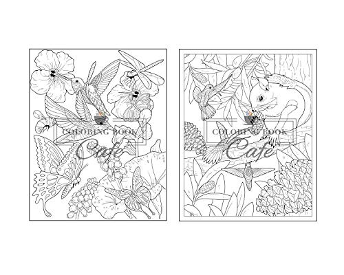 Hummingbird Coloring Book: An Adult Coloring Book Featuring Charming Hummingbirds, Beautiful Flowers and Nature Patterns for Stress Relief and Relaxation