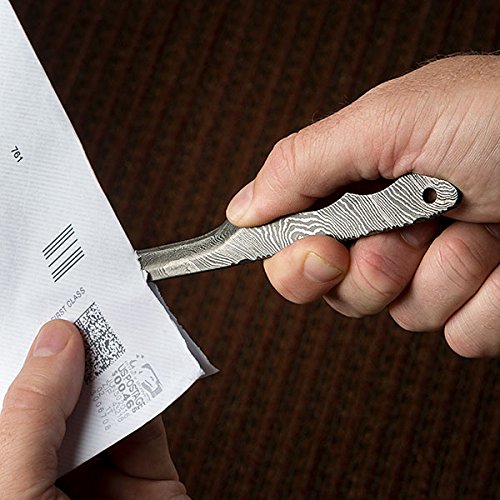BucknBear Custom Handmade Letter Opener 1095 Damascus Fixed Blade (File work on spine)