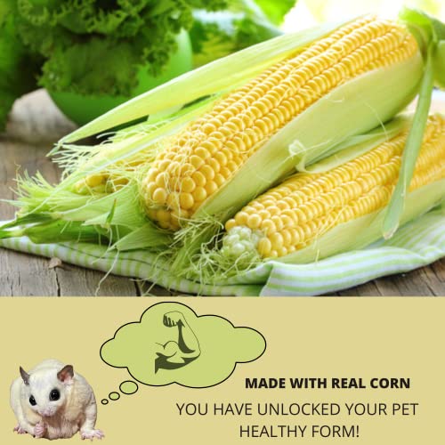 PETIVORE Premium Freeze Dried Corn for Sugar Glider and Small Exotic Pet - Made with Corn - Sugar Glider, Hamster, Squirrel, Chinchillas, Marmoset Happy Treats, Snacks and Food (17g)
