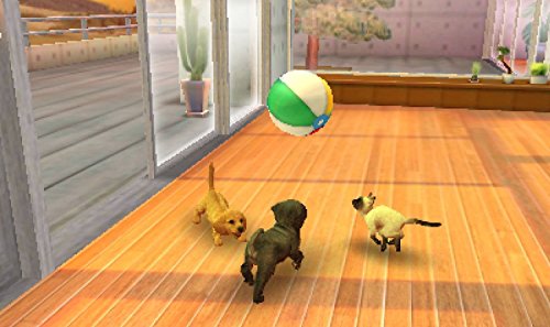 Nintendogs + cats Golden Retriever & ses nouveaux amis - Nintendo Selects