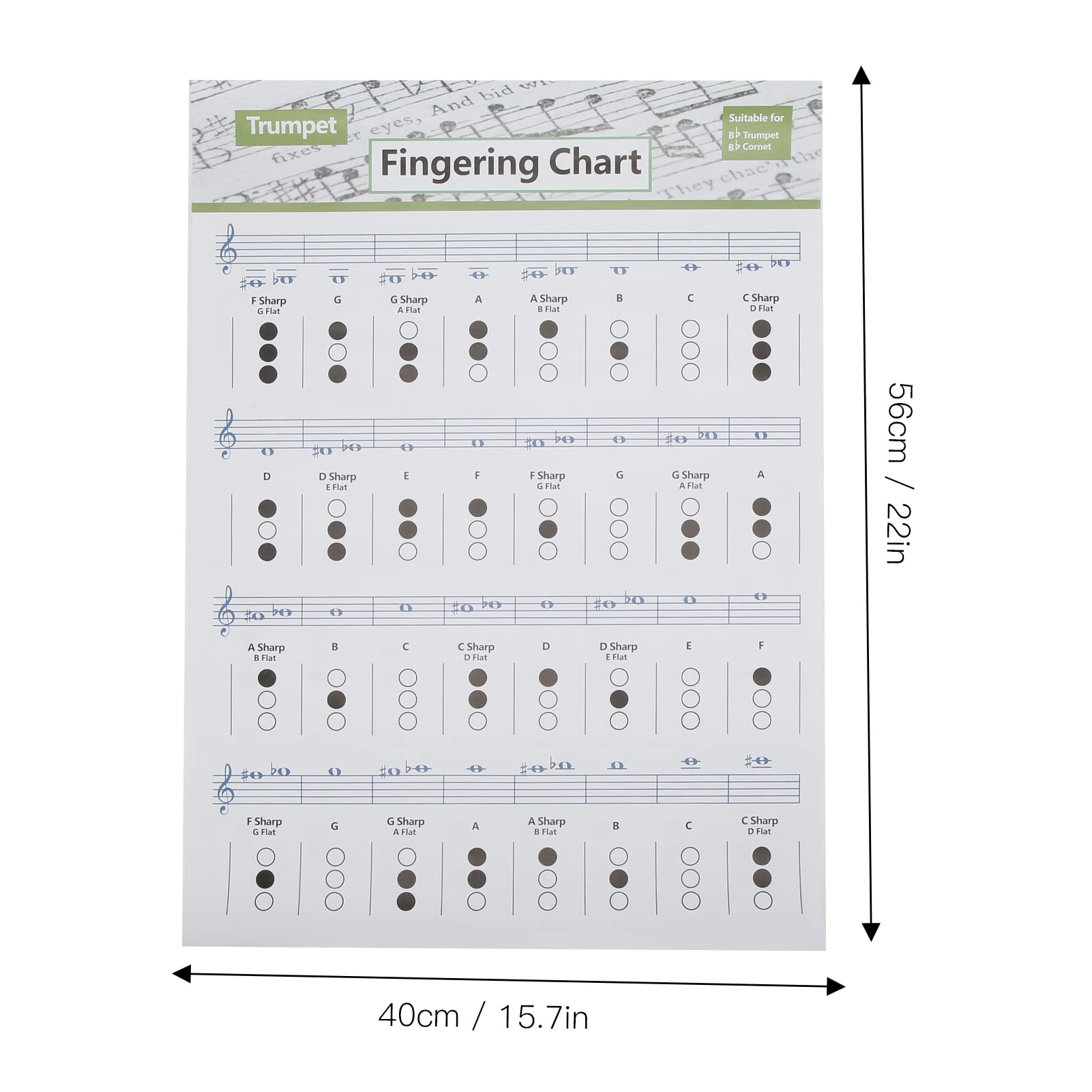 Trumpet Chord Chart Chords Reference Poster Scales Reference Fingering Practice Chart(Trumpet Chord Chart (Large Size))