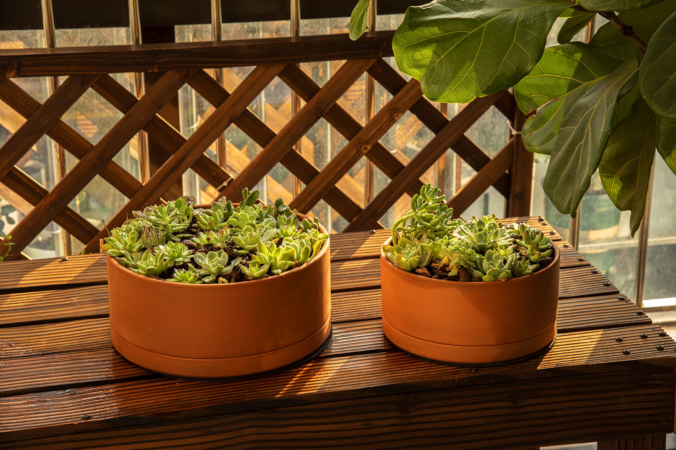 D'vine Dev 10 Inch Succulent Terracotta Shallow Pot with Drainage Hole and Saucer, Round Cylinder Planter Pot for Plant Flower, 40-B-L-10-1