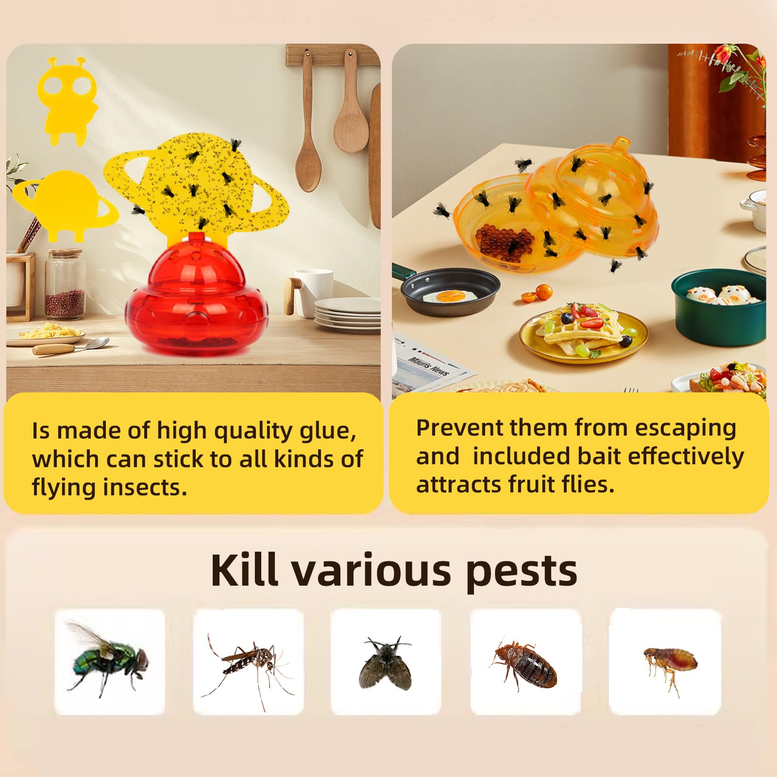 Fruit Fly Trap wth Sticky Pads, Fruit Fly Killer for Indoors, Safe and Non-Toxic Fly Catcher Gnat Traps Fruit Fly Traps for Kitchen,House - 2 Pack