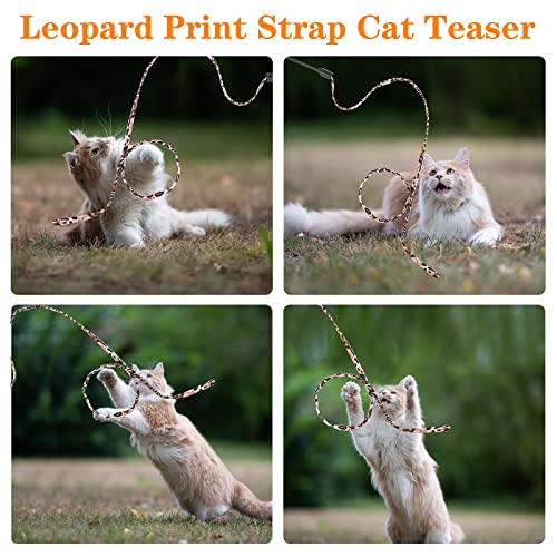 Molain Cat Wand Rainbow Toy, 5pcs Rainbow Ribbon Wand for Kittens Training Rainbow Ribbon Interactive Catcher Wand Stick Toy for Kitten Cat Indoor Exerciser Playing(30cm, Leopard Print)