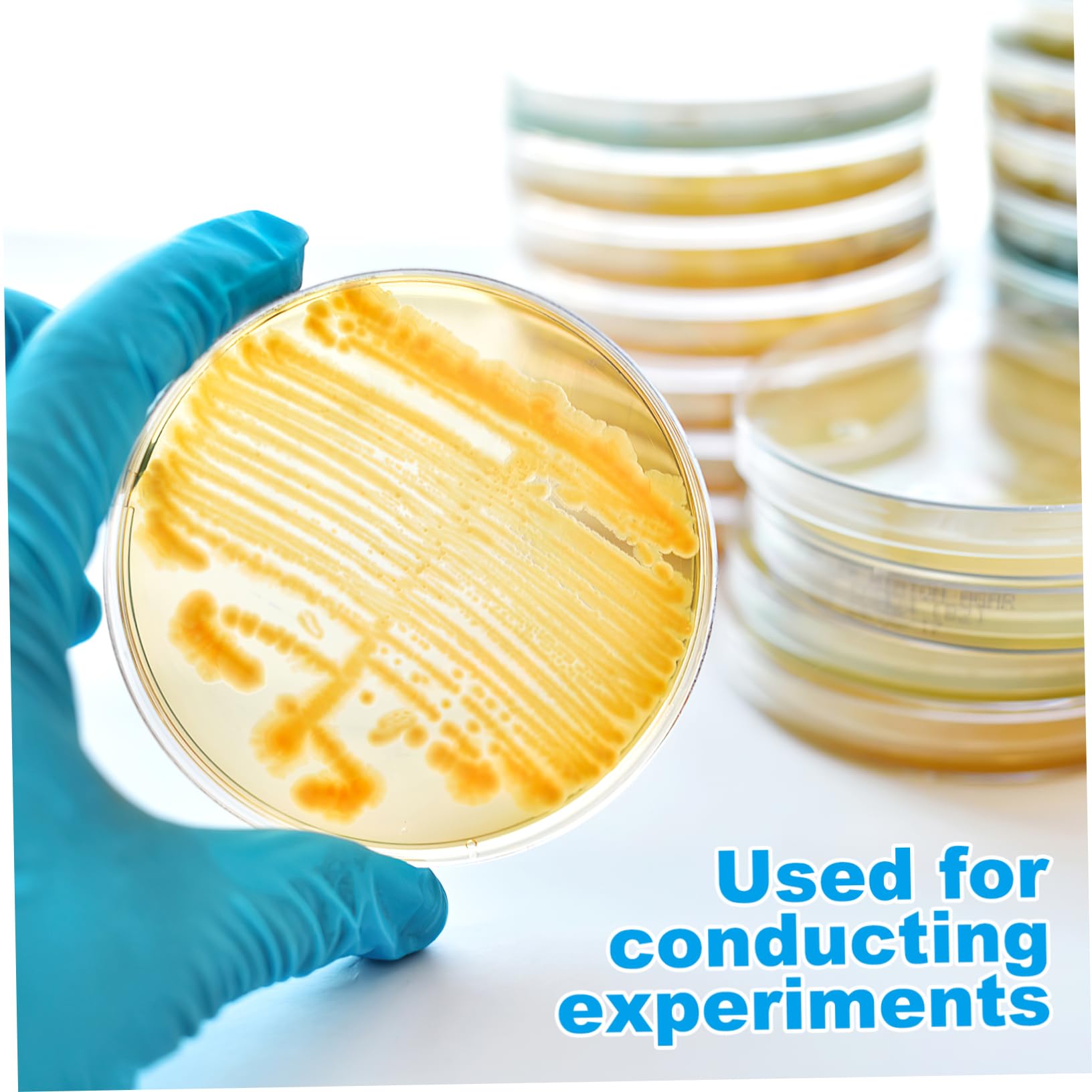 Healeved Prepoured Agar Plates 10pcs 7cm Agar Petri Dishes Science Experiment Supplies for Mushroom Cultivation and Science Fair Projects