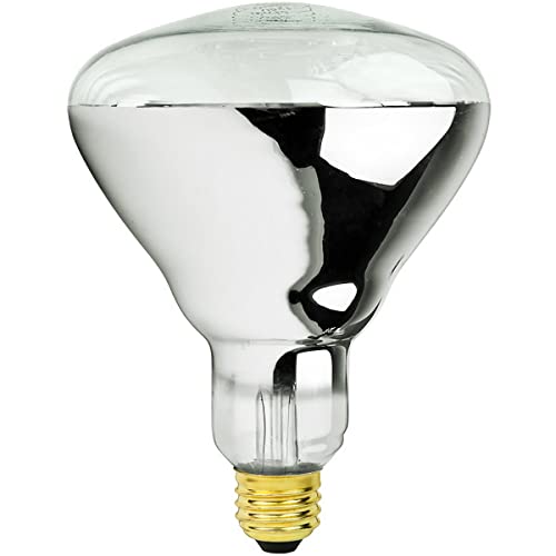 BULBMASTER 250 Watts R40 Heat Lamps Outdoor Bulbs for Pets Flood Light Bulb for Chickens Infrared Reflector 250W R40 Incandescent Medium E26 Base 2 Pack (CLEAR250R40-2PK) (250/R40/LEAR/2 PKk)