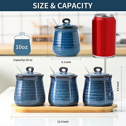 Hasense Porcelain Condiment Jar,10oz Spice Container with Lid Spoon and Bamboo tray,Small Salt Sugar Pepper Seasoning Pots Box Set of 3,Ceramic Condiment Container for Home kitchen Counter(Blue)