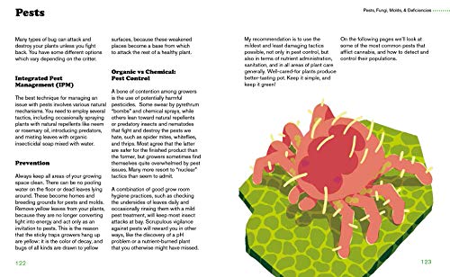 Cannabis: A Beginner's Guide to Growing Marijuana