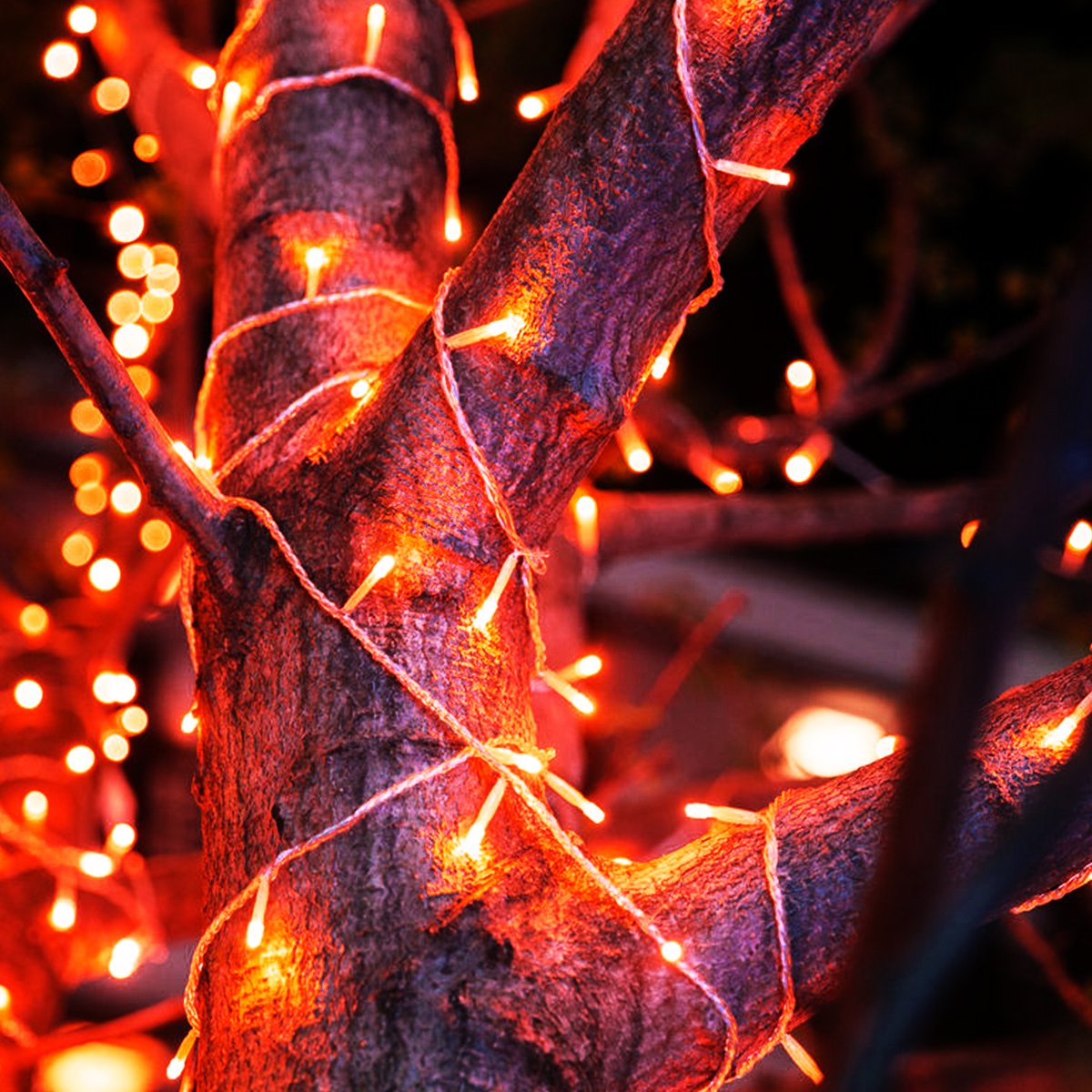 Orange String Lights, 164FT/50M 300 LED Orange Lights,8Modes,LDTX UL Certified Fairy Ambiance Lighting for Wedding,Party,Garden,Patio,Yard,Home,Parties, Halloween