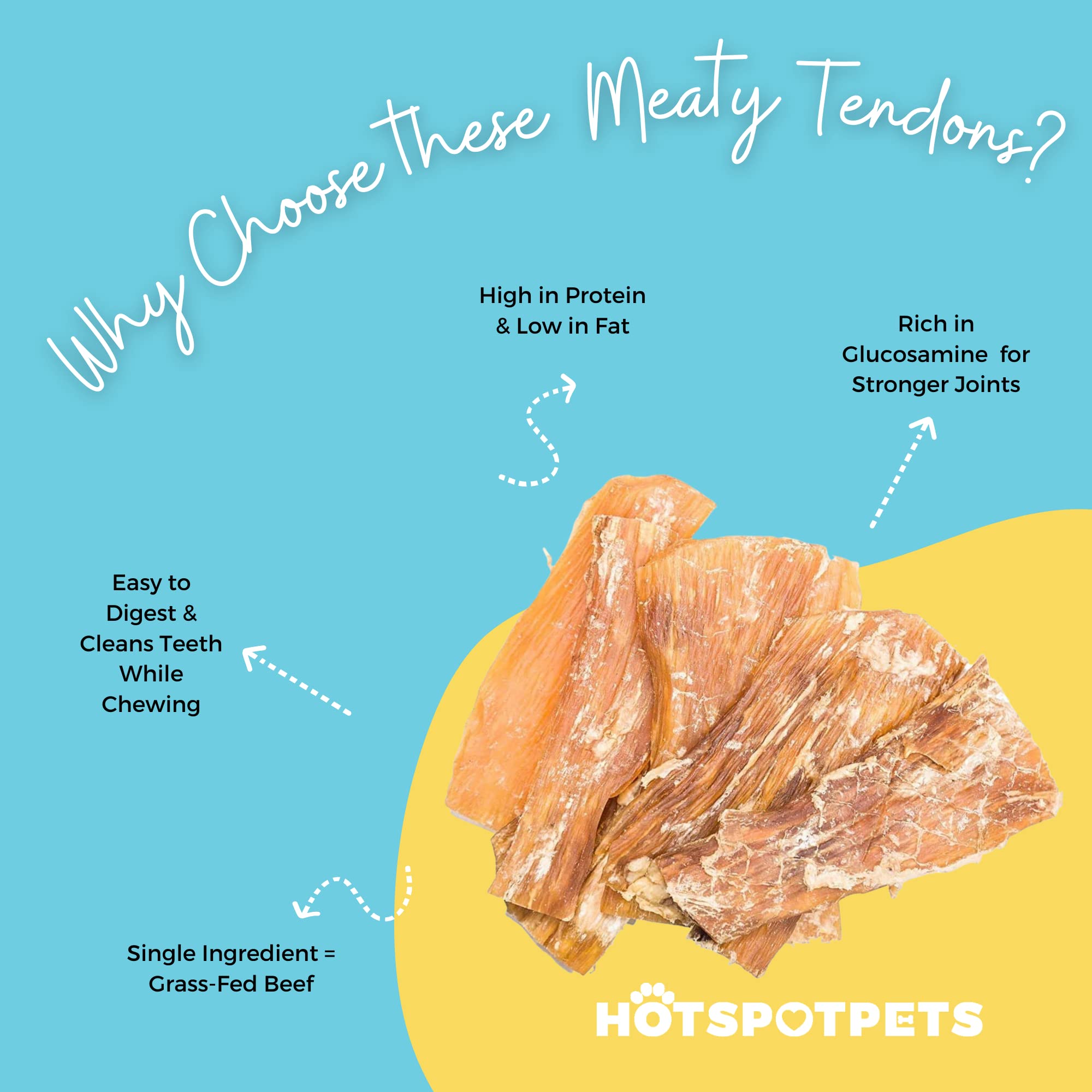 hotspot pets Beef Tendon Chews for Dogs - 6 Inch All Natural, Free-Range, Grass-Fed Premium Backstrap Tendon Dog Chews Treats