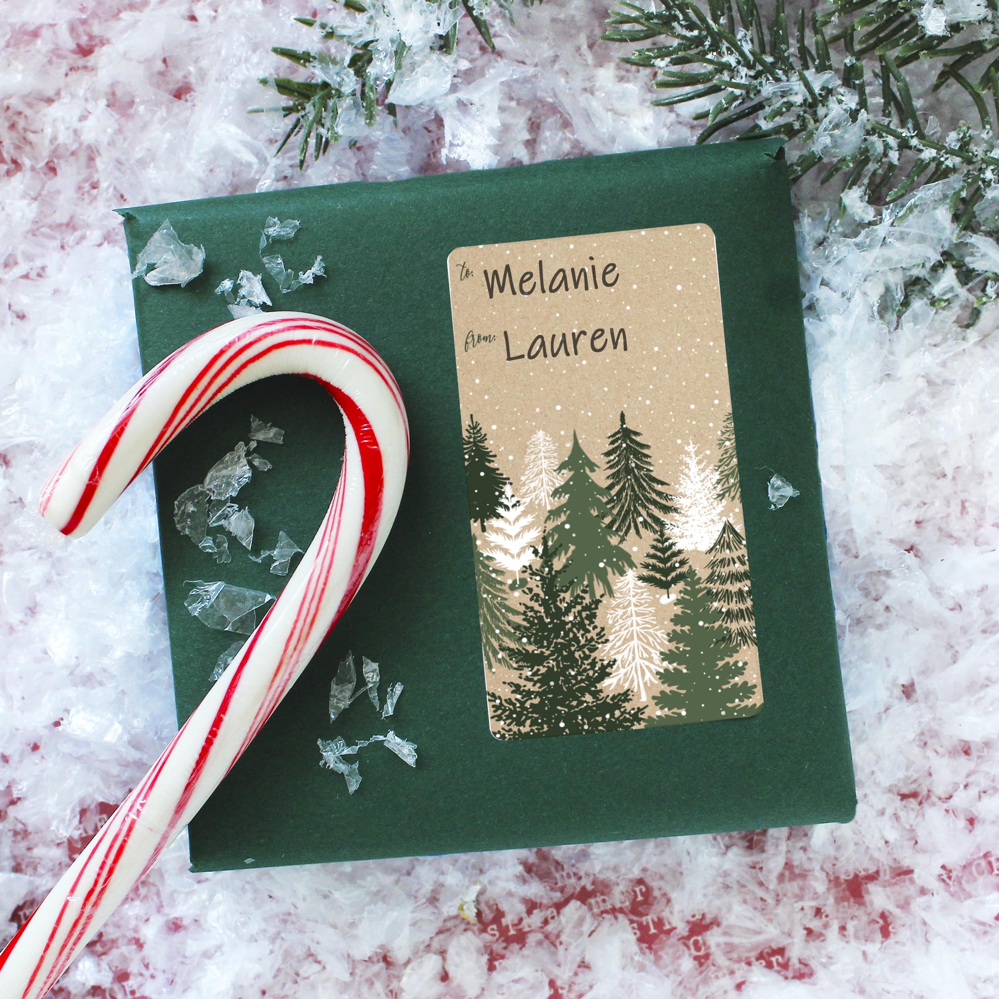 Evergreen Christmas Gift Tags, Self-Adhesive Stickers – 75 Gift Wrap Tags, Peel and Stick Christmas Gift Tags