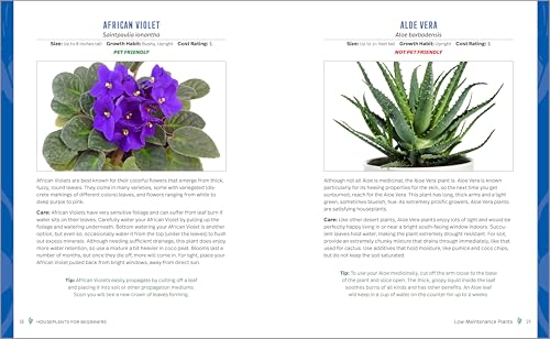 Houseplants for Beginners: A Practical Guide to Choosing, Growing, and Helping Your Plants Thrive