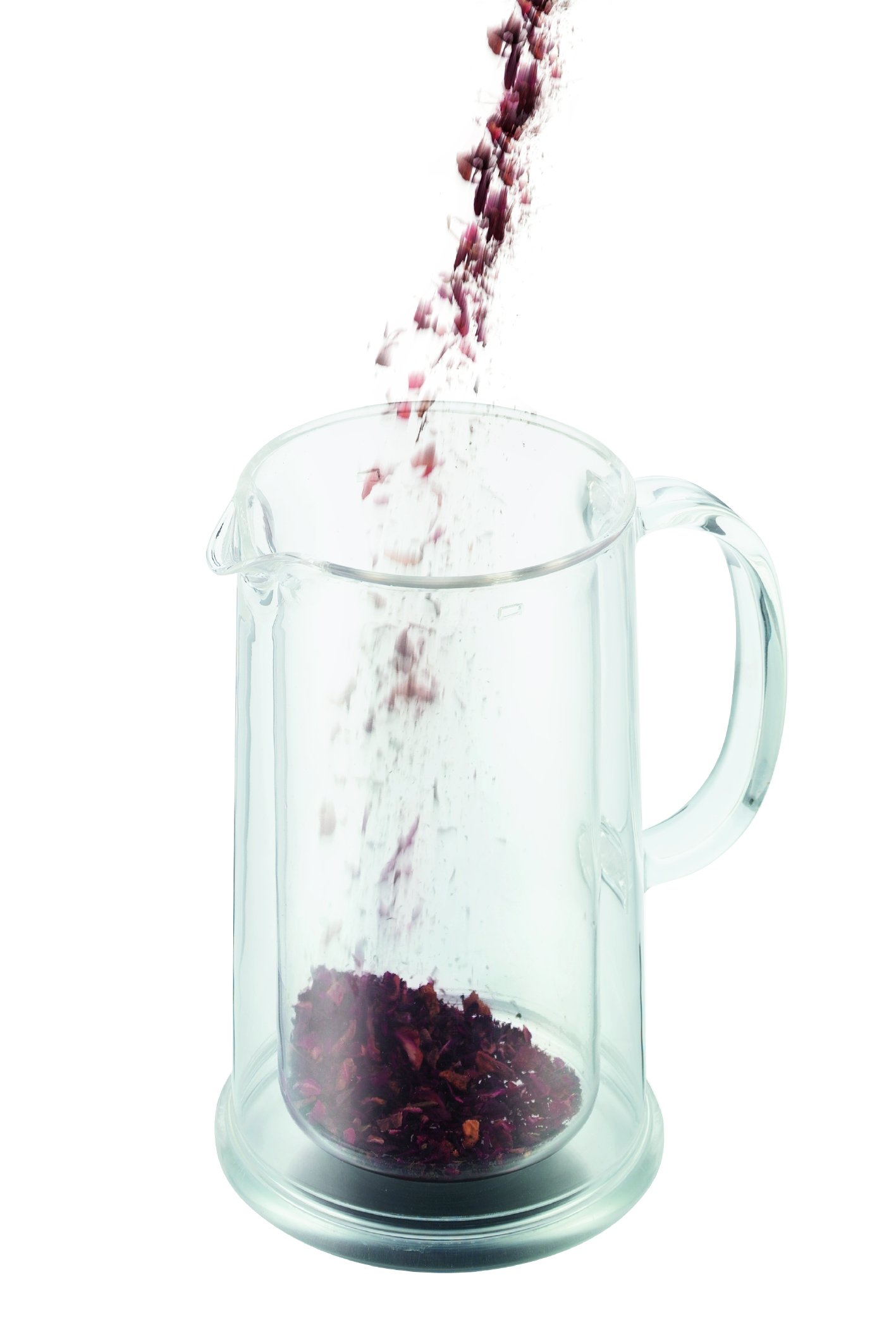 BODUM 1608-10 Thermia Double Wall Coffee and Tea Press, 12.6 x 17.9 x 23.8 cm,Transparent