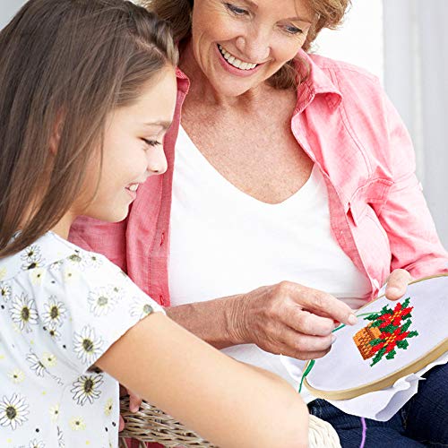 Caydo 244 Pieces Embroidery Kit with 100 Colors Threads, 40 Sewing Pins, 3 Pieces Aida Cloth, Instructions, Embroidery Hoops and Cross Stitch Tools for Adults and Kids Beginners