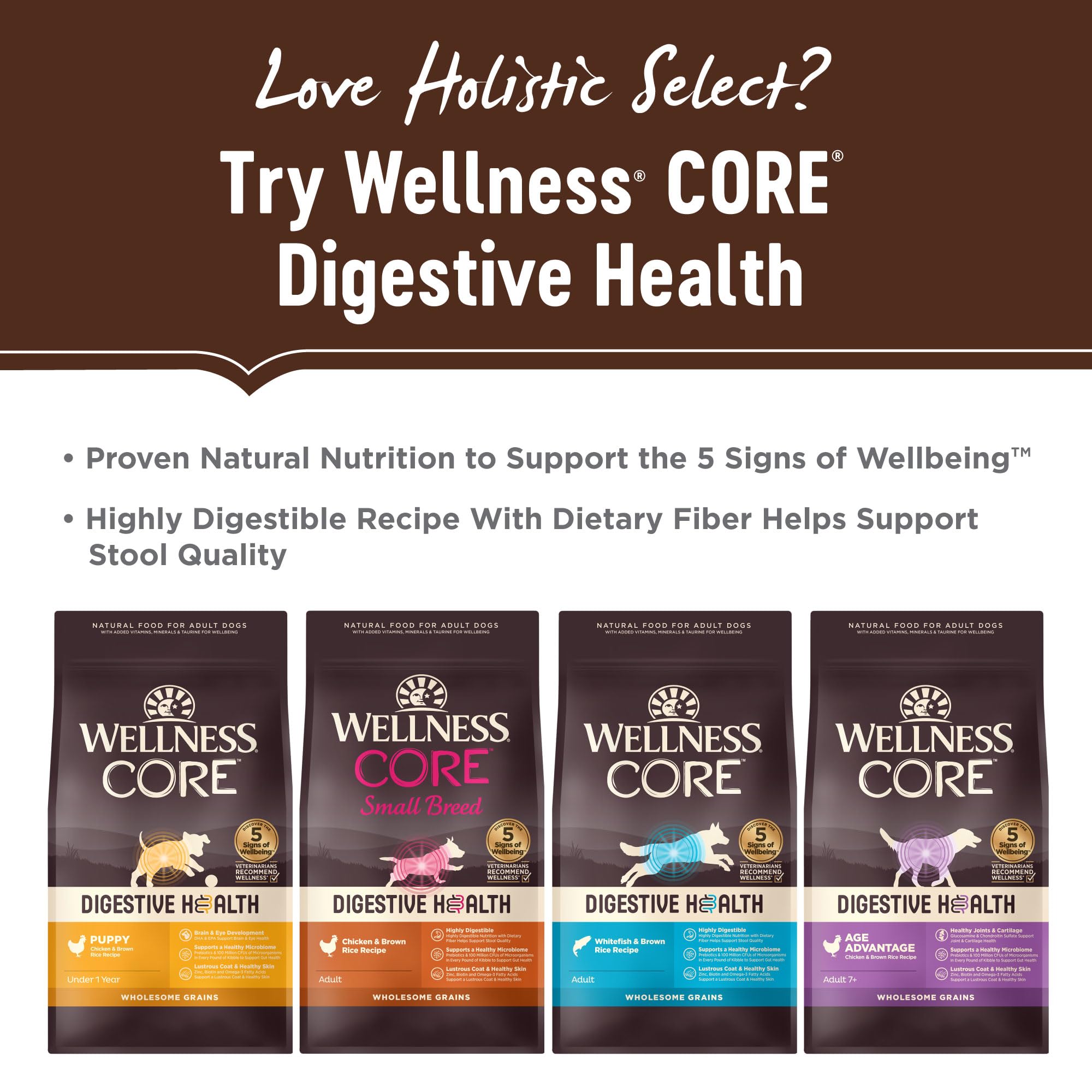 Holistic Select Natural Pet Food Holistic Select Natural Grain Free Dry Dog Food, Senior Chicken Meal & Rice Recipe, 24-Pound Bag