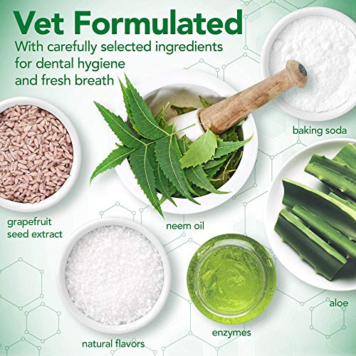 Vet’s Best Enzymatic Dog Toothpaste | Teeth Cleaning and Fresh Breath Dental Care Gel | Vet Formulated | 3.5 Ounces