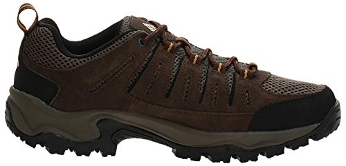 Columbia Men's Lakeview II Low, Cordovan/Mud, 10