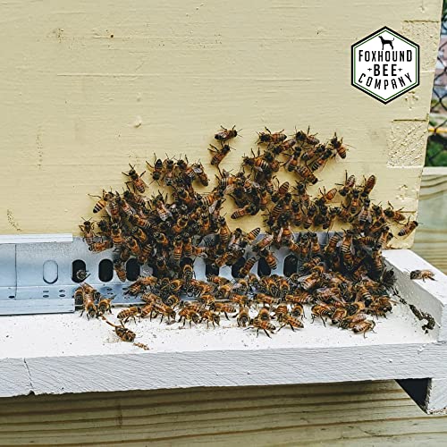Entrance Reducer and Mouse Guard for 8 or 10 Frame Bee Hive, Used for Beekeeping with No-Rust, Universal Stainless Steel Metal Design for Winter and Year Around, 4-Pack