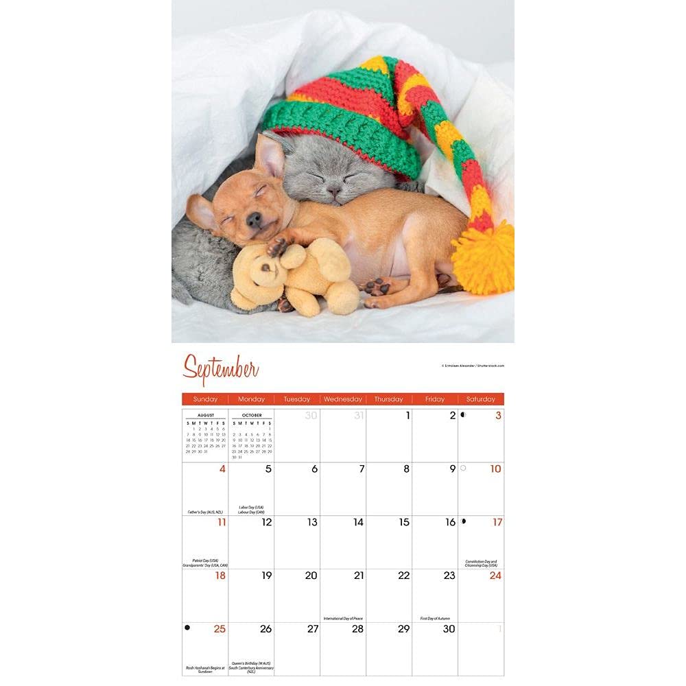 Carousel Calendars, Kittens & Puppies 2022 Mini Wall Calendar