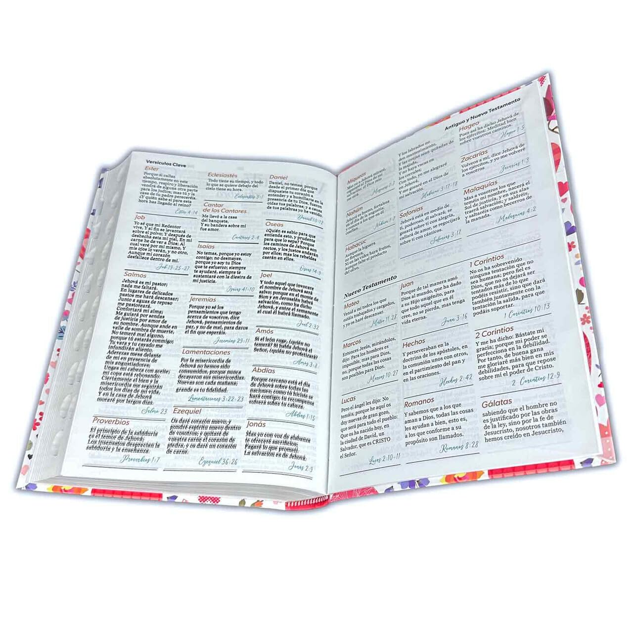 Biblia para Mujer Letra Grande 12 puntos RV1960 rosa floral con corazones con indice
