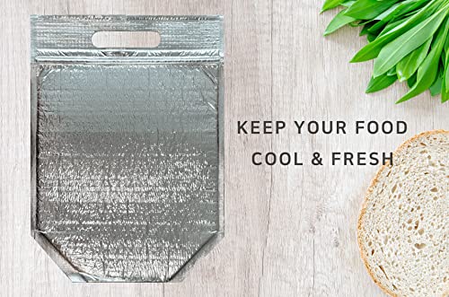Insulated Lunch Bag with Zip Lock & Handle, Reusable Cool & Thermal Bags, Cooler Pouch, Hot & Cold, Ideal for Sandwich, Snack, Drink, Grocery, Camping (Medium_5 bags 9.8 x 11.0 inches + 5 Ice packs)
