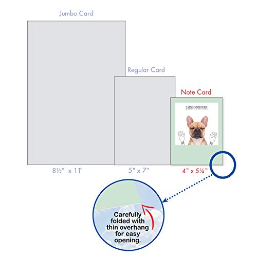 The Best Card Company - 10 Blank Dog Cards Assorted (4 x 5.12 Inch) - Adorable Boxed Animal Note Cards for All Occasions - Dogs & Doodles M6582OCB