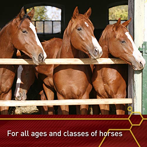 Vita Flex Pro E-5000 Premium Quality Horse Vitamin E, 4 lbs., 128-Day Supply