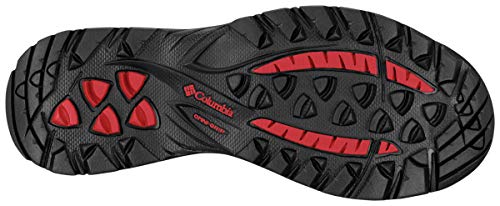 Columbia womens Newton Ridge Plus Waterproof Amped Hiking Boot, Elk/Mountain Red, 8.5 Wide US