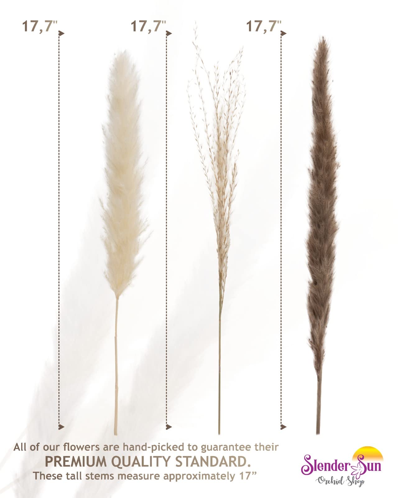 Spear SLENDERSUN Orchid Bouquet Dried Pampas Grass – Pack of 60 Pcs Tall Stems (17,7”) Soft & Fluffy Floral Bouquets Minimalist, Rustic, Luxury Home Garden Décor, White, Brown, Reed